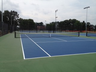 Springfield College - Cape and Island Tennis & Track